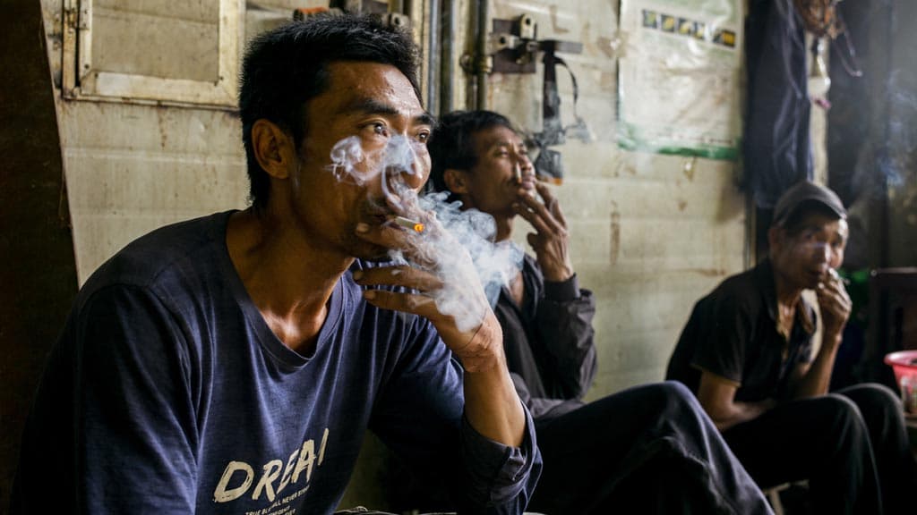 Big Tobacco | The Examination