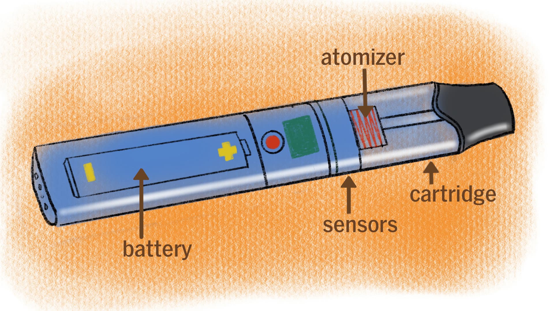 What science says about vaping risks | The Examination